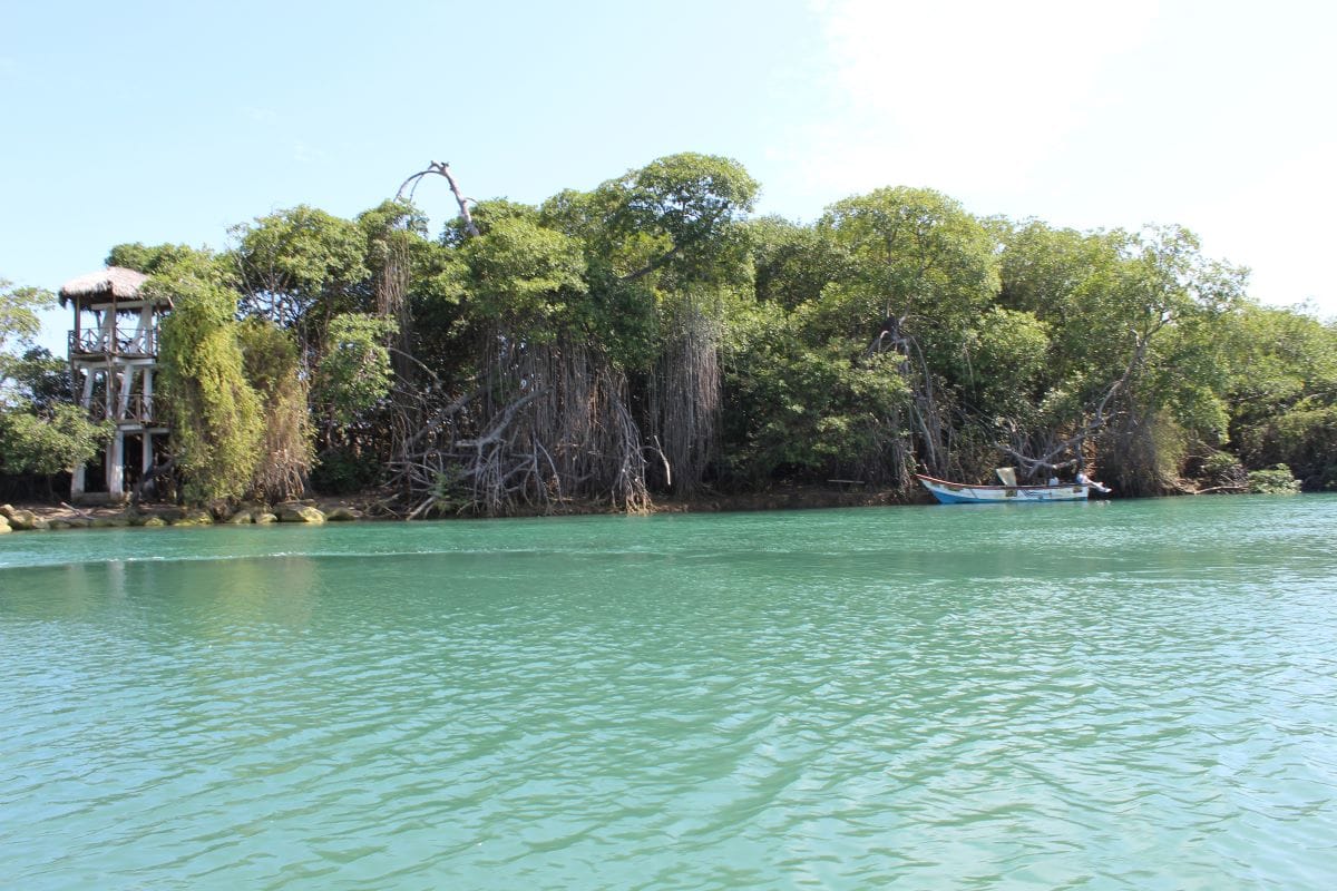 Tour Estuario Del Río Portoviejo - Raices Operadora de Turismo